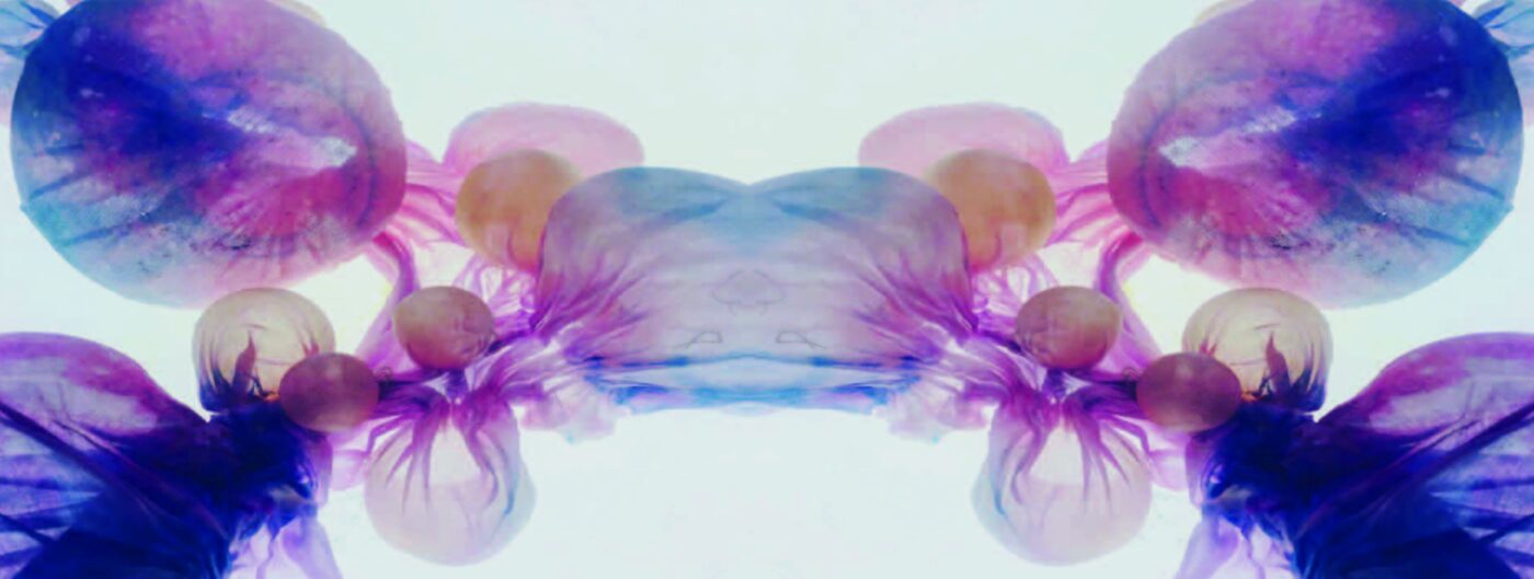 stackt - COVID-19 Update